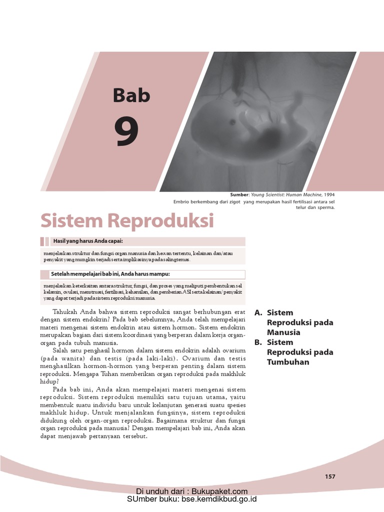 Bab 9 Sistem Reproduksi | PDF | Pengembangan Diri | Sains & Matematika