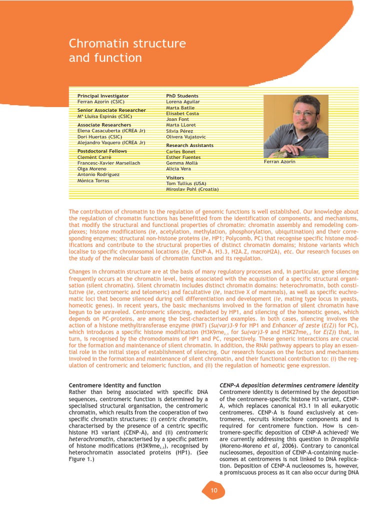 Chromatin Web | PDF | Chromatin | Histone