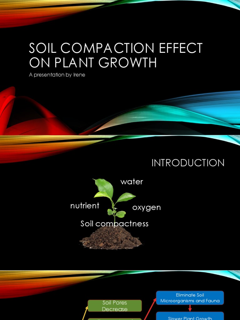 Soil Compaction Effect On Plant Growth | PDF