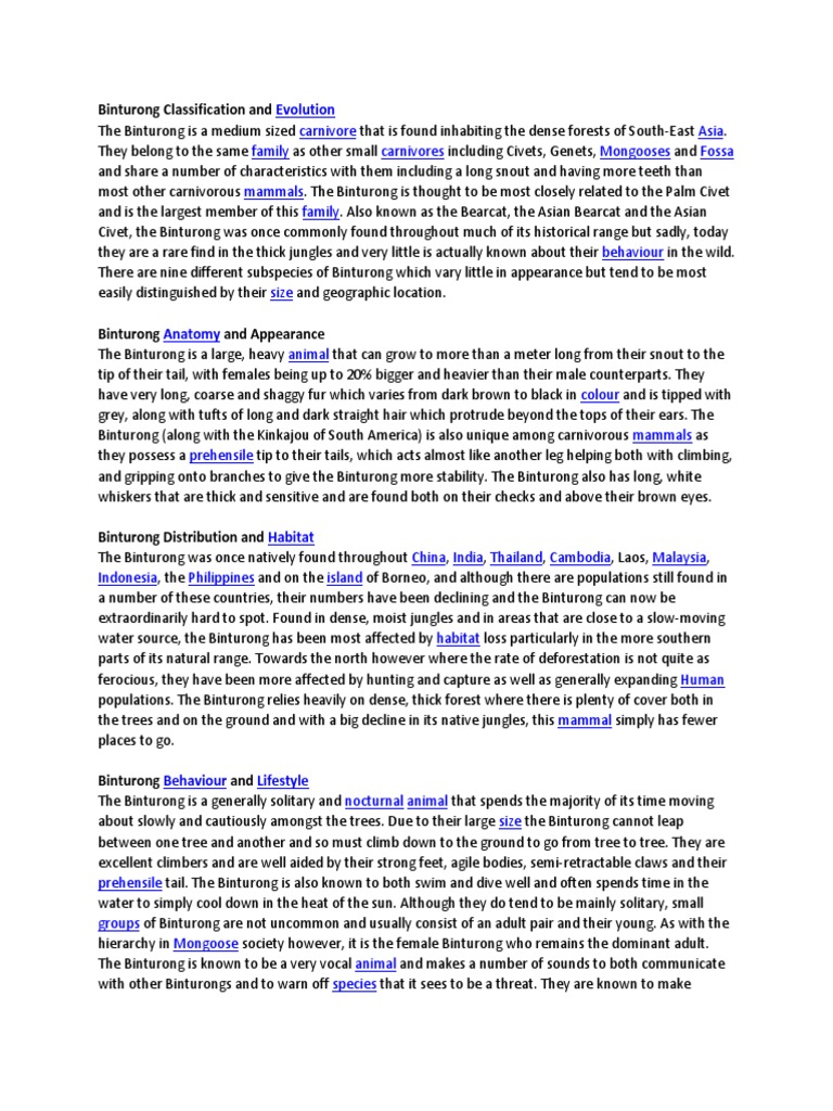 Evolution: Binturong Classification and | PDF | Predation | Mammals