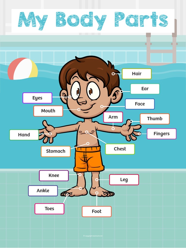 A3 Full Body Poster PDF | PDF