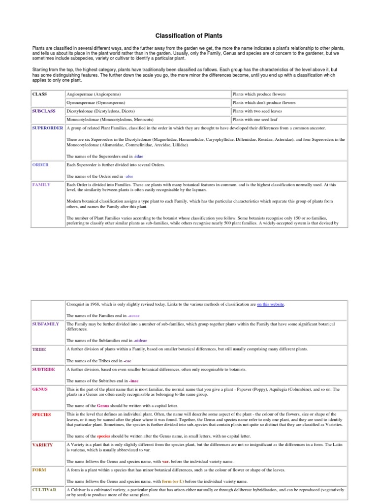 Classification of Plants | PDF | Scientific Classification | Plants