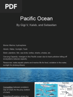 Beach Clean Up Proposal | PDF | Beach | Pollution