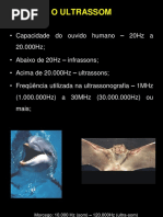 Tipos de Transdutores em Ultrassonografia | PDF