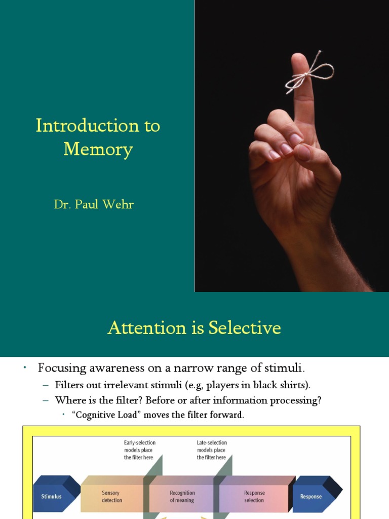 PSYCH 101 - Memory | PDF | Recall (Memory) | Memory