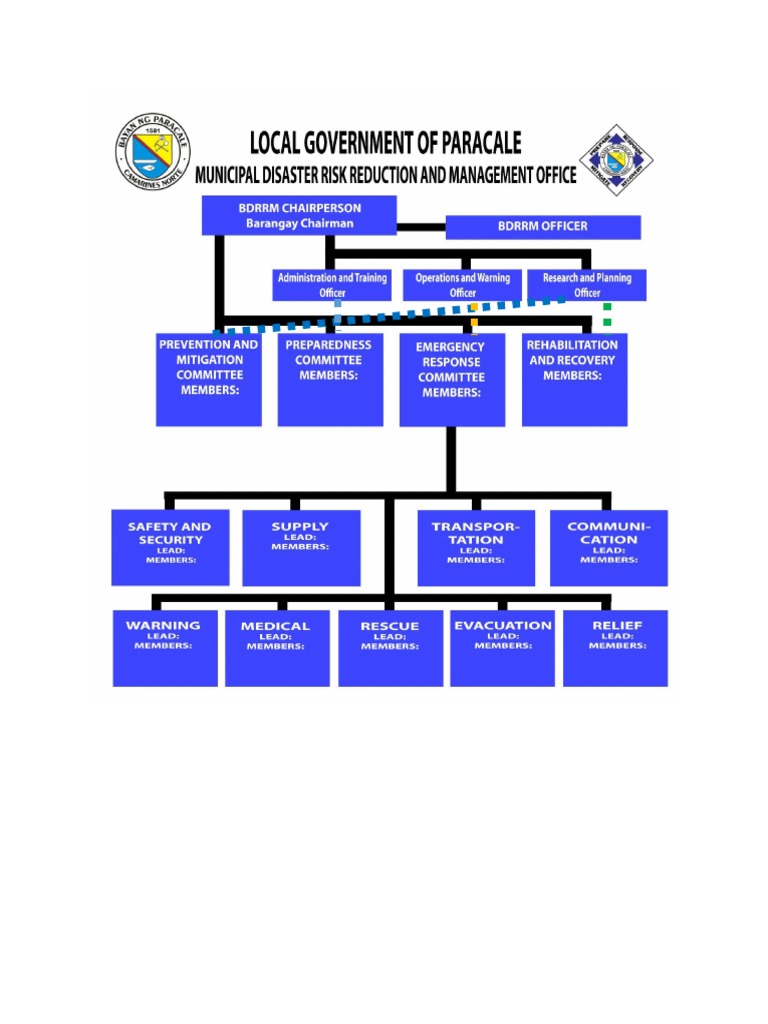 BDRRMC Structure | PDF