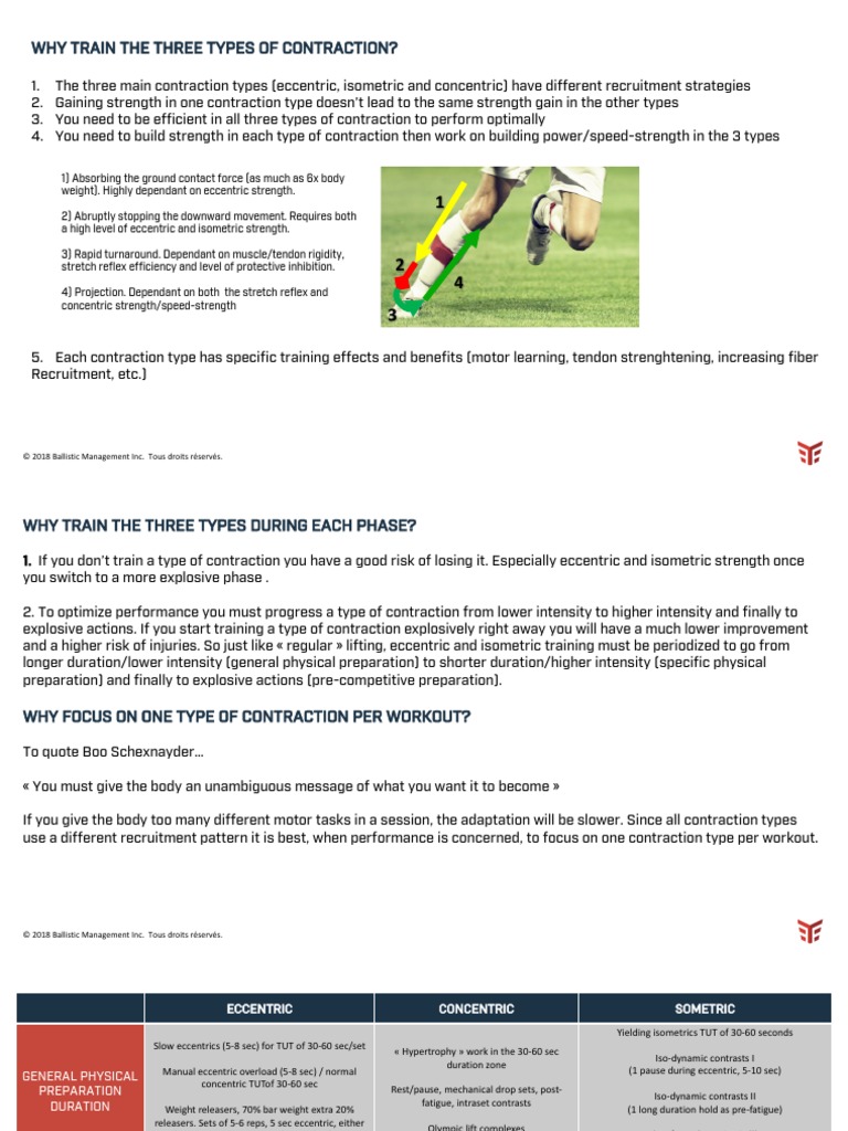 Christian Thibaudeau - Training The Three Types of Contractions | PDF ...