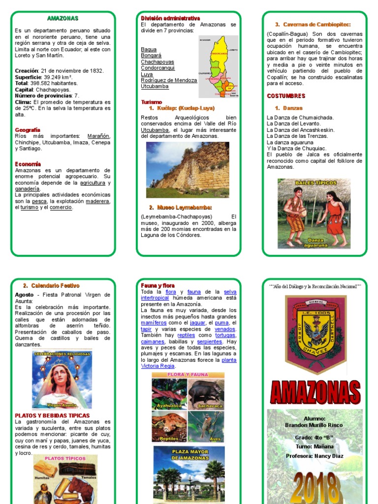 Triptico de Amazonas | PDF | Naturaleza