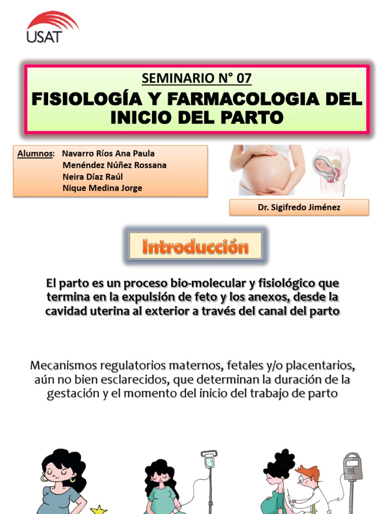 Seminario 7 Fisio Parto | PDF | Parto | Placenta