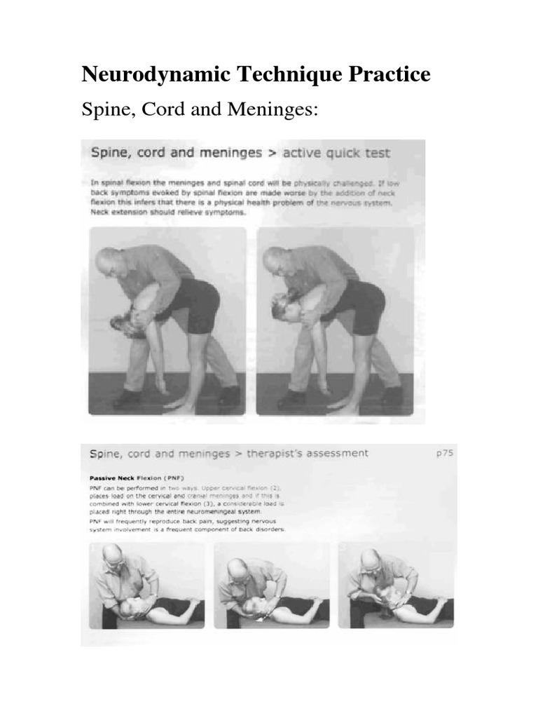 Neurodynamic Technique Practice: Spine, Cord and Meninges | PDF