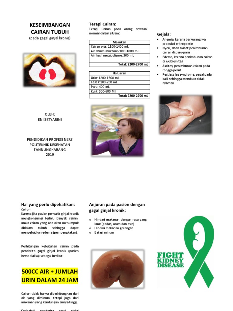 Leaflet Keseimbangan Cairan | PDF