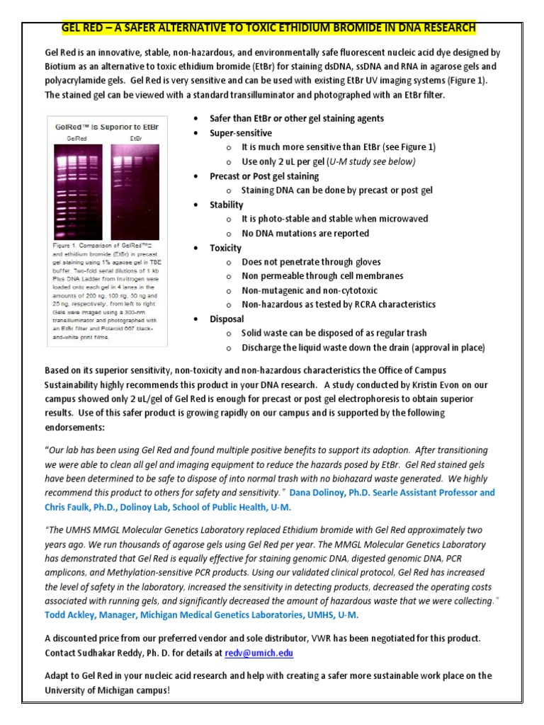 Gel Red Fact Sheet | PDF | Gel Electrophoresis | Agarose Gel ...