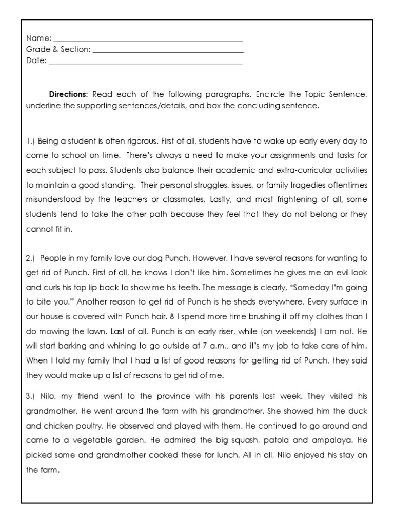 Student Writing Exercise Guide | PDF