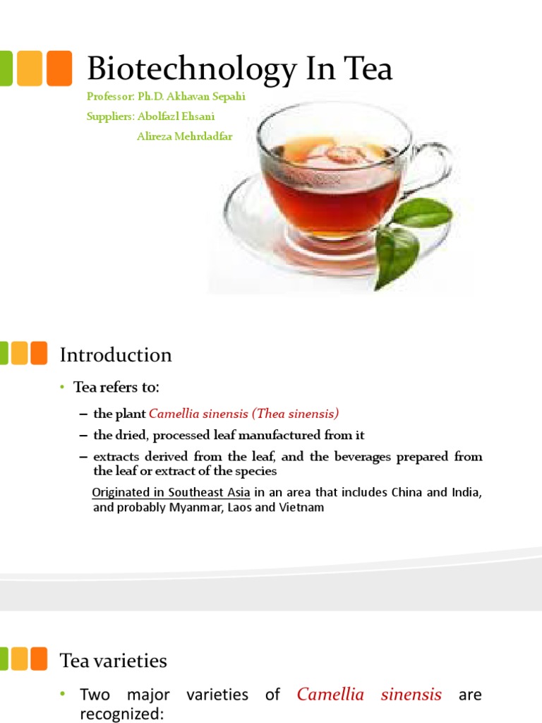 Biotechnology in Tea: Professor: Ph.D. Akhavan Sepahi Suppliers ...