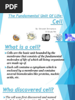 Cbse Class Ix Animal Tissue Flow Chart | PDF | Epithelium | Tissue ...