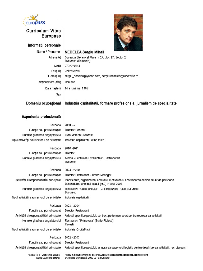 CV Sergiu Nedelea | PDF