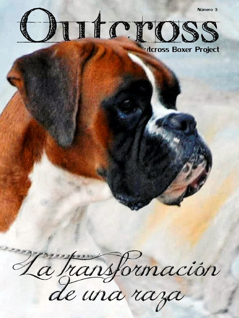 Revista Outcross Número 3 (2019) PDF | PDF | Buldog | Boxer (Perro)