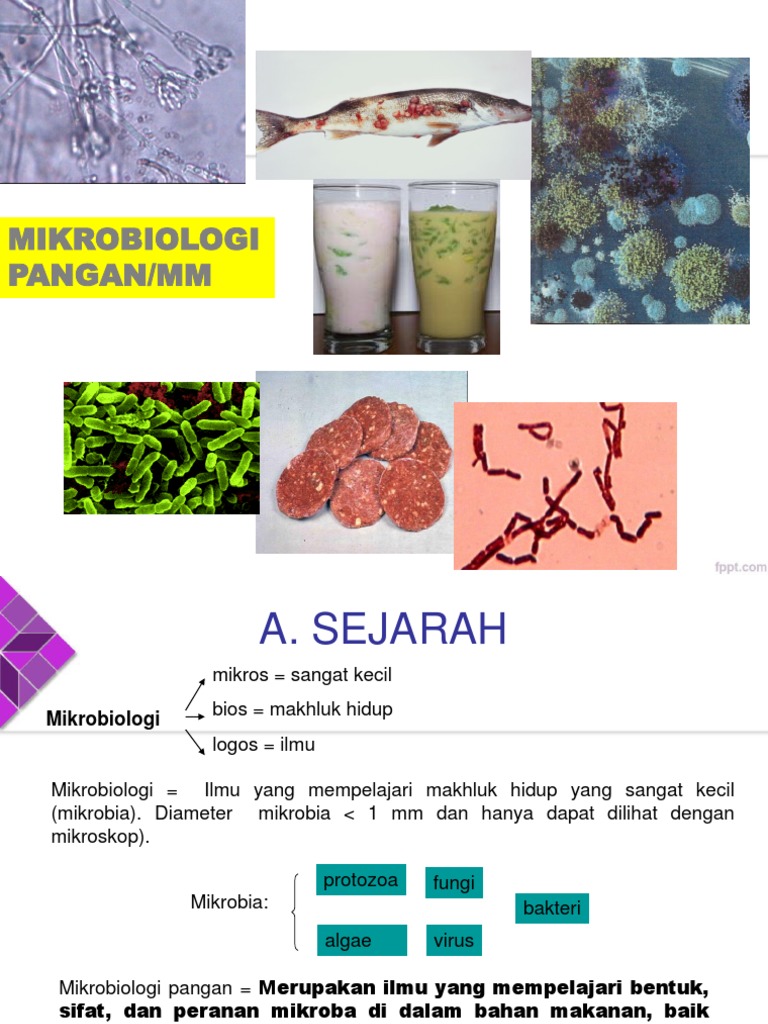 Mikrobiologi Pangan | PDF