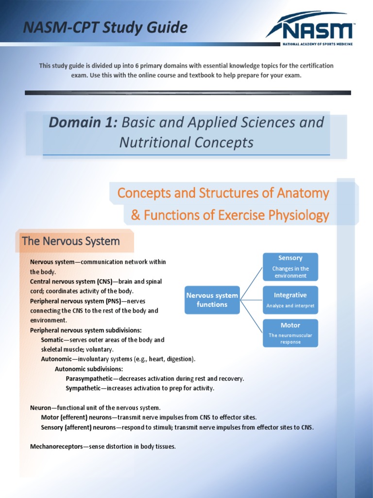 NASM-CPT6 Exam Study Guide | PDF | Skeletal Muscle | Pelvis
