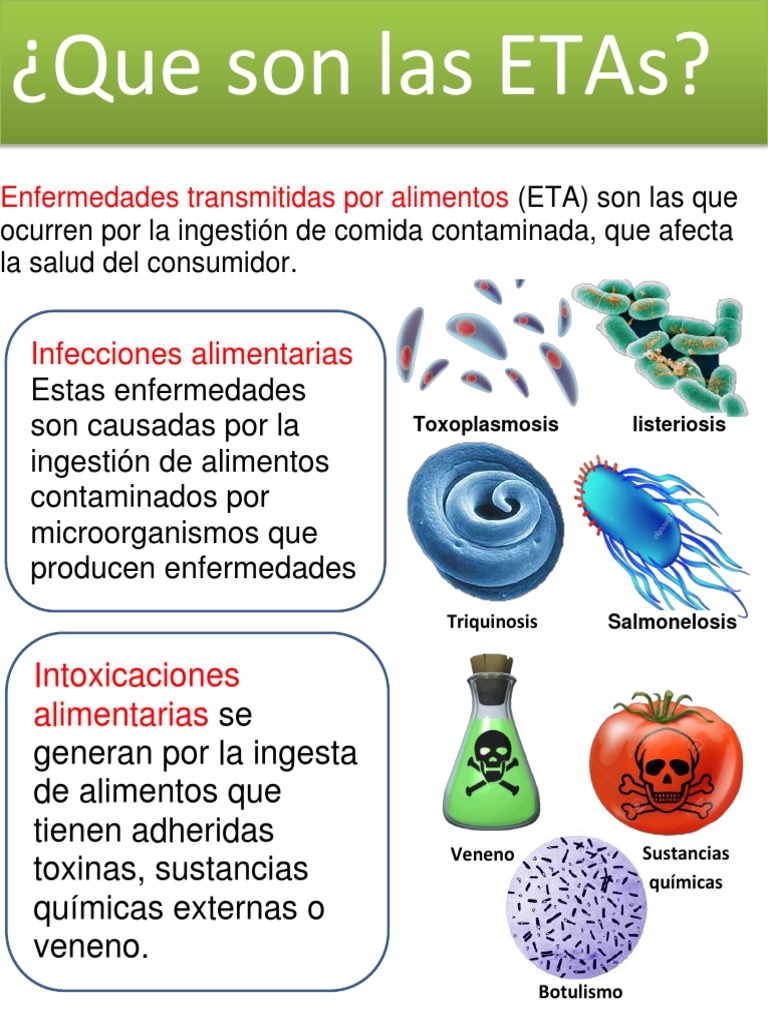 Etas Definitivo | PDF | Alimentos | Agua