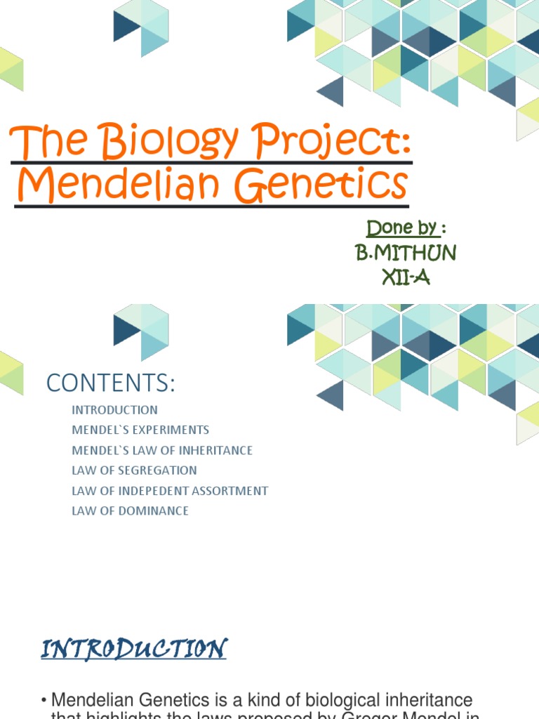 The Biology Project: Mendelian Genetics: Done By: B.Mithun Xii-A | PDF ...