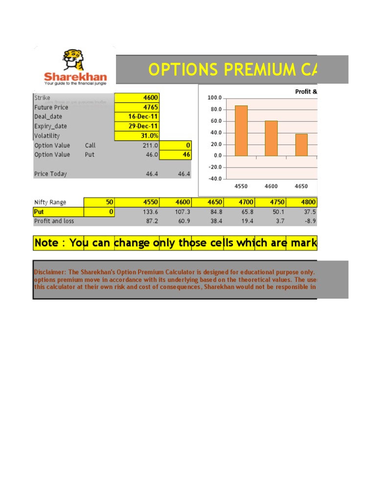 Understanding Options Premiums: An Analysis of a Call and Put Options ...