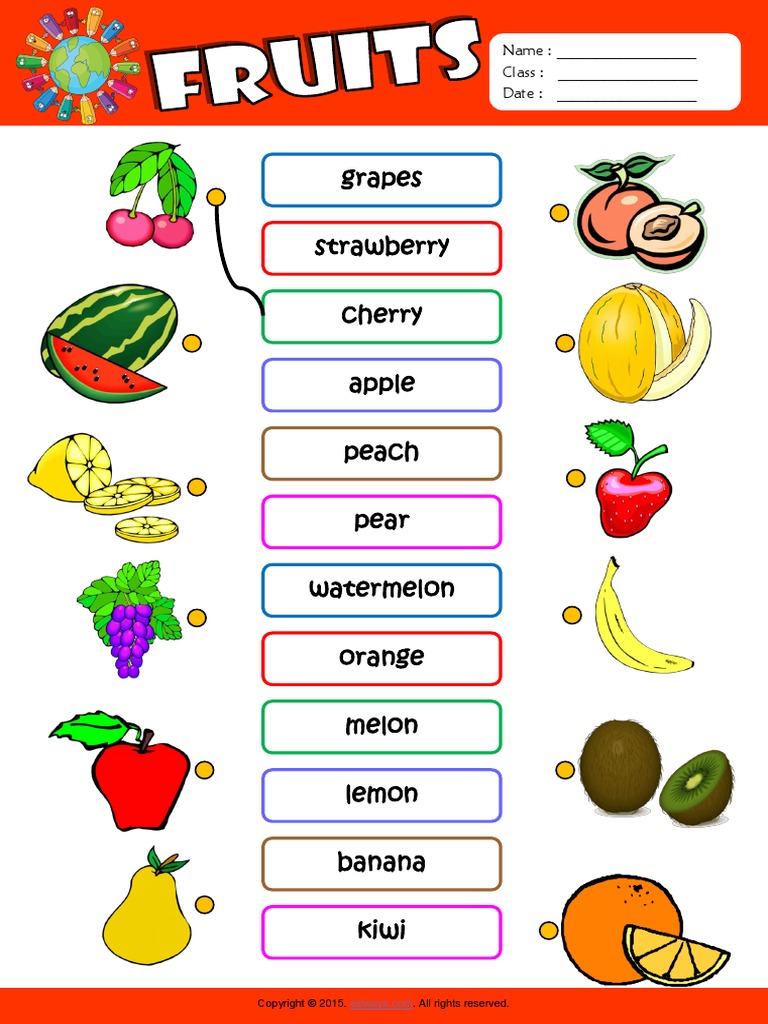 Fruits Esl Vocabulary Matching Exercise Worksheet For Kids | PDF