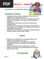 Proyecto de Germinación para Niños | PDF | Plantas | Semilla