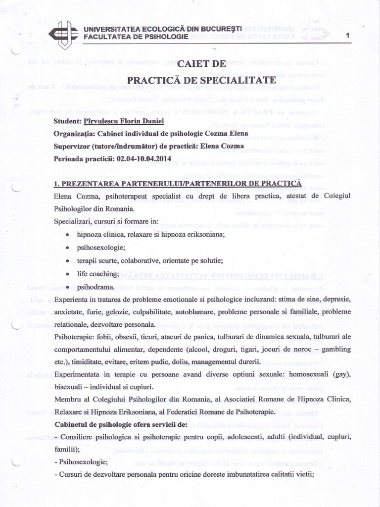 Exemplu - Caiet de Practica | PDF