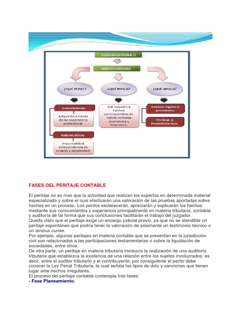 Etapas del Peritaje Contable en Perú | PDF | Testigo experto ...