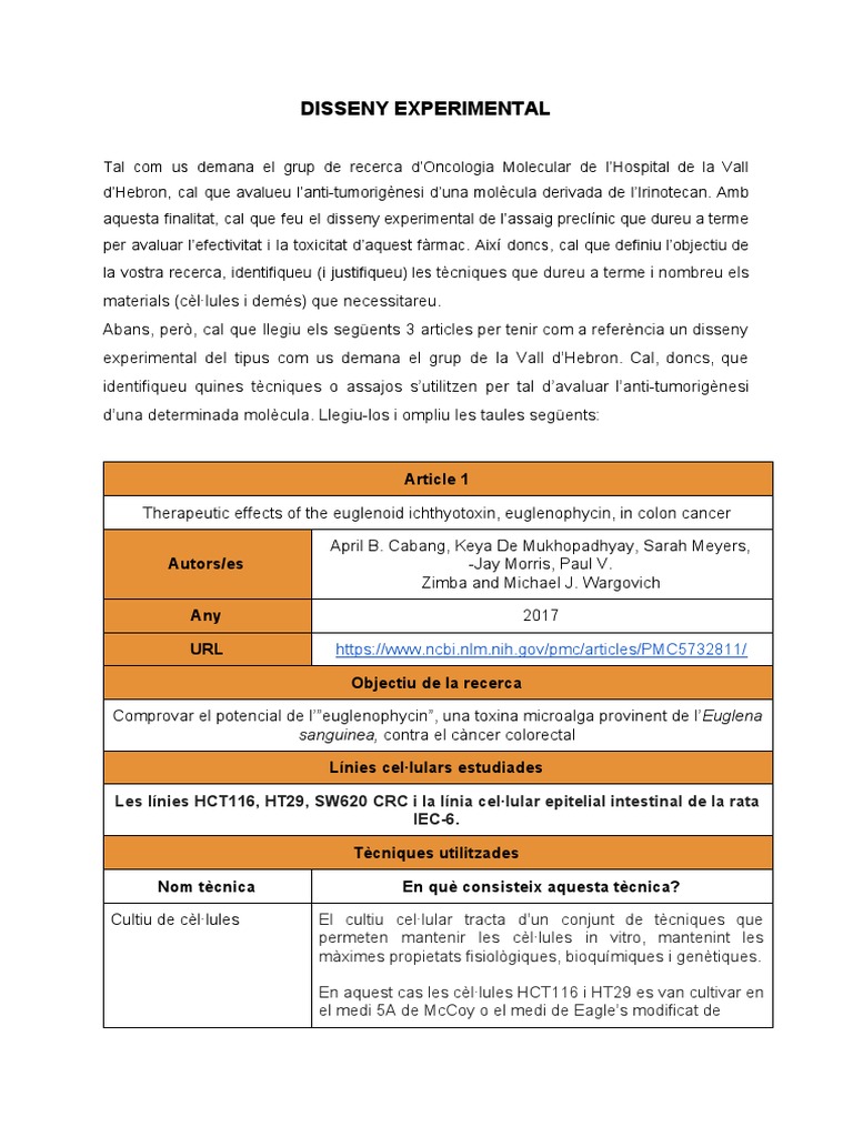 R4 F4 Disseny Experimental JOAN Y NEREA | PDF