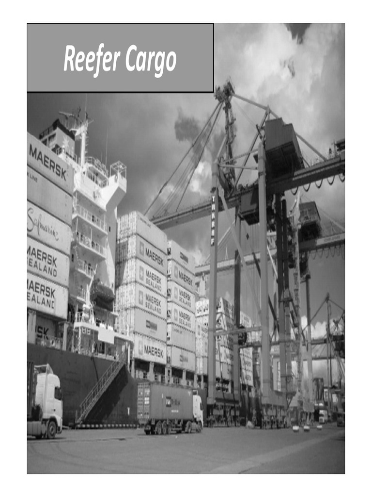 Presentacion 5 Carga Reefer | PDF | Vacío | Oxígeno