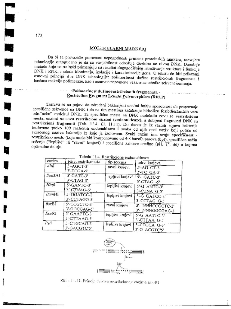 Cojder Molekularni Markeri | PDF