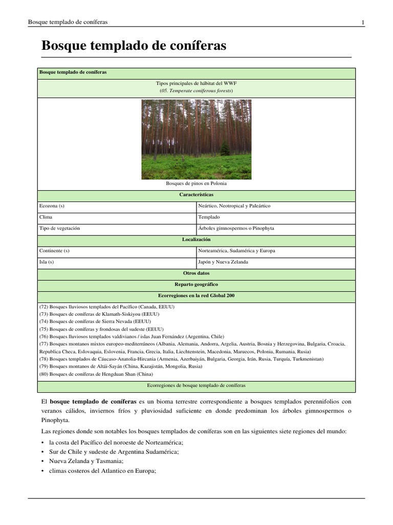 Bosque Templado de Coníferas: Características | PDF | Restauracion ...