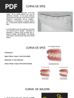Curva de Spee y Wilson | PDF | Ortodoncia | Odontología