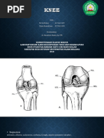 Manual Muscle Testing Knee | PDF | Anatomical Terms Of Motion | Human Leg