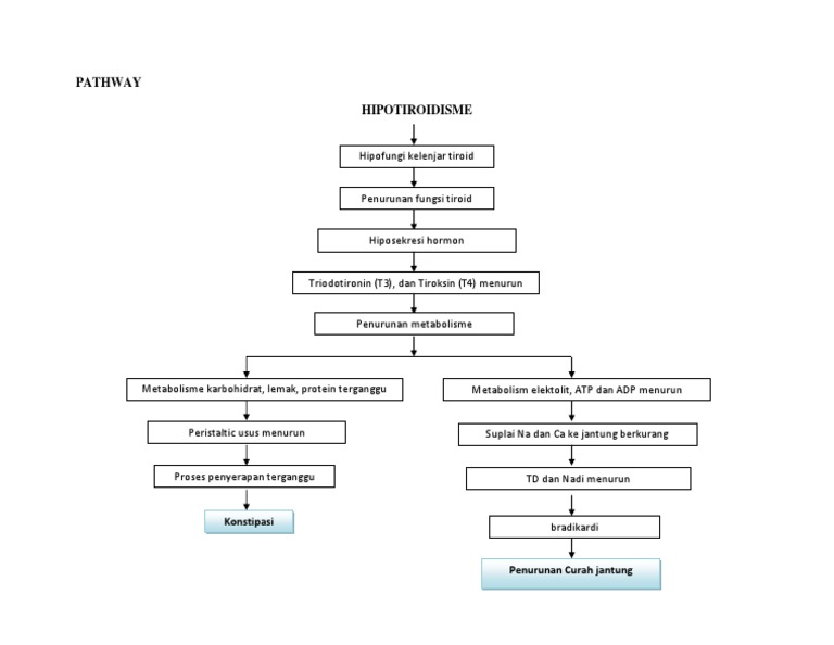 Pathway Hipotiroidisme | PDF