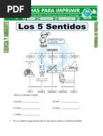 Calmador Plus Pip | PDF | Medicamentos con receta | Efecto adverso