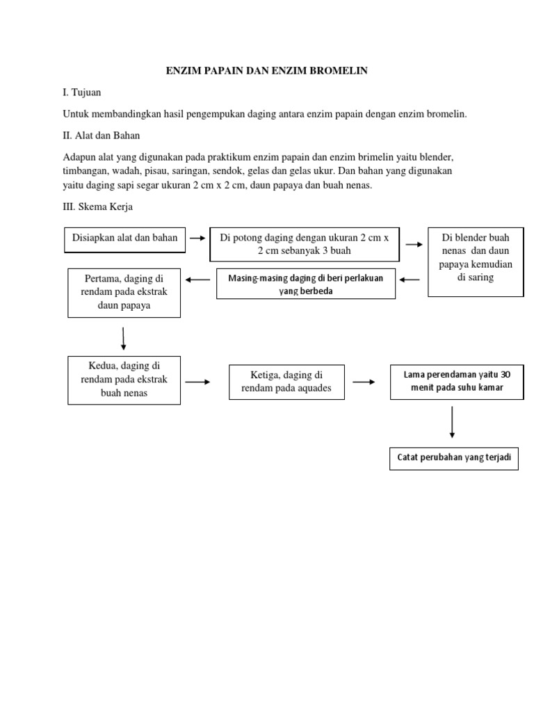 Perbandingan Enzim Papain dan Bromelin | PDF