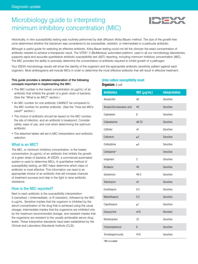 Microbiology Guide Interpreting Mic | PDF | Microbiology | Antibiotics