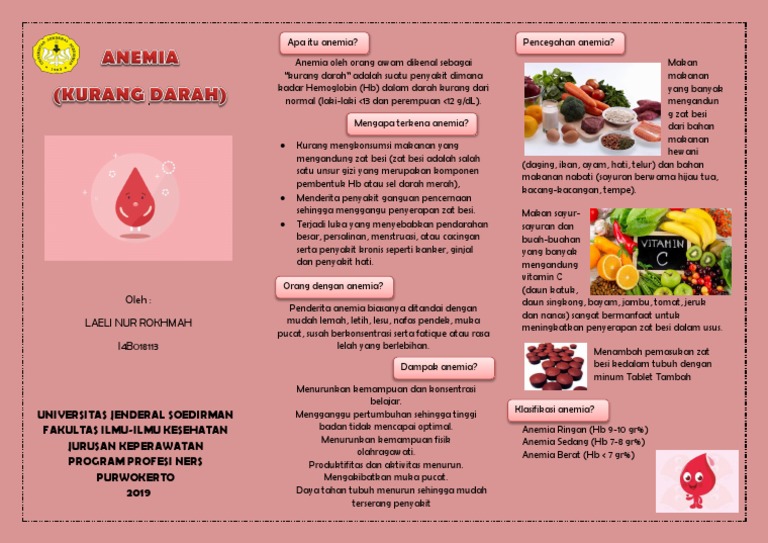 Leaflet Anemia | PDF
