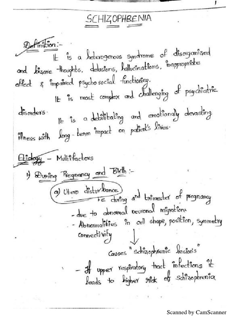 Schizophrenia Notes 1 | PDF