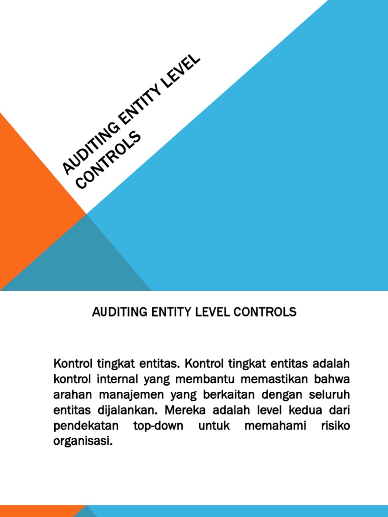 Auditing Entity Level Controls | PDF