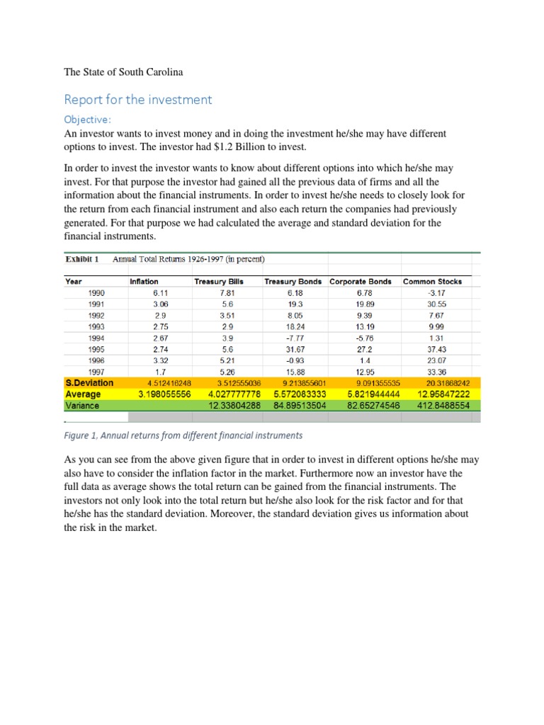 Investment Report | PDF | Investor | Investing