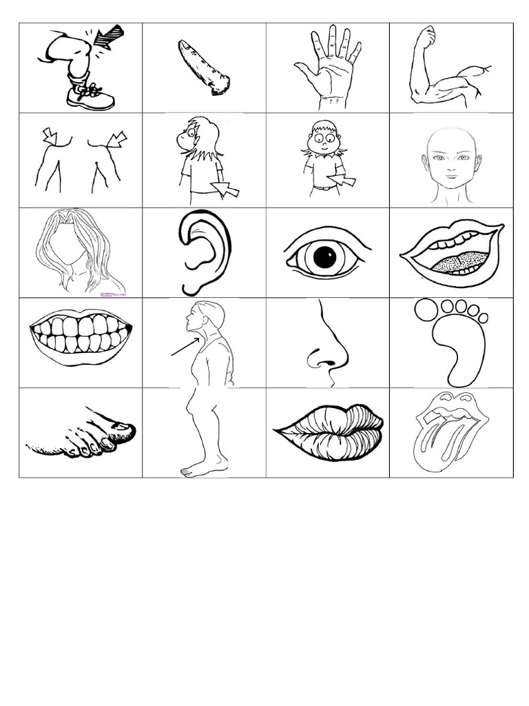 Memory Game On Body Parts Flashcards Games 40300 | PDF | Foreign ...