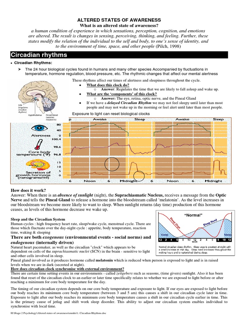 Circadian Rhythms: Altered States of Awareness What Is An Altered State ...