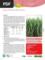 Manejo do Capim-Sudão BRS Estribo | PDF | Agricultura | Agronomia
