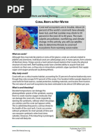 Coral Bleaching Worksheet | PDF | Coral | Coral Reef
