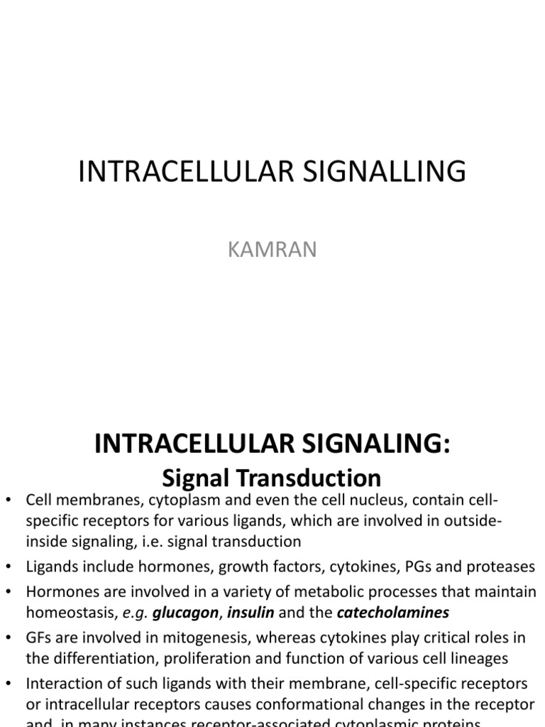 Intracellular Signaling Pathways | PDF | Signal Transduction | Cell ...