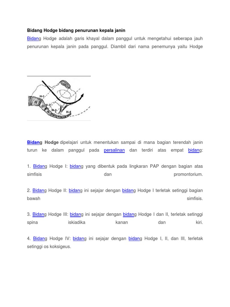 Penurunan Kepala Janin dan Bidang Hodge | PDF